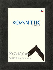 DANTIK rámeček 29,7x42 | SARTORI listy čer.s. (Plexi Čiré)