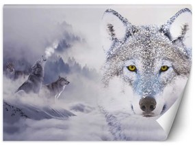 Fototapeta, Vlk v mlze Přírodní zvířata - 250x175 cm