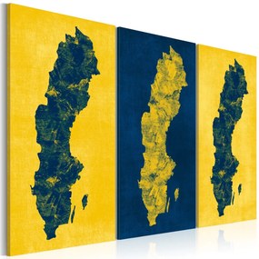 Obraz - Painted map of Sweden - triptych