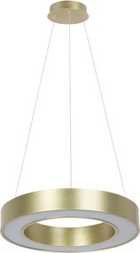 Závěsné LED svítidlo Union, 1x LED 40w, 3000-6000k, g