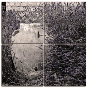 Obraz na plátně - Amfora v levandulovém keři - čtverec 369FD (100x100 cm)