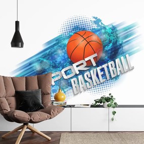 Fototapeta Basketbal V Moderním Stylu Samolepící tapety 104x70.5