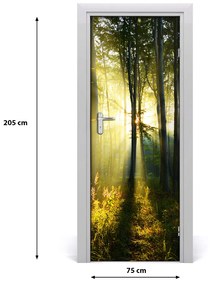 Fototapeta samolepící na dveře les příroda 75x205 cm