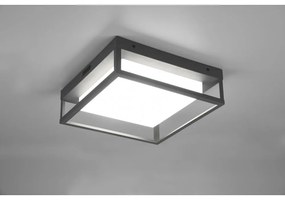 LED nástěnné venkovní svítidlo (výška 10 cm) Witham – Trio