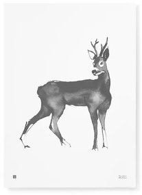 Teemu Järvi Plakát s motivem srnce Roe Deer 50x70