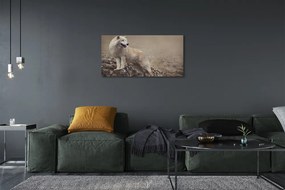 Obrazy na plátně vlk hory 140x70 cm