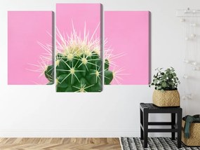 Vícedílný obraz Kaktus Na Růžovém Pozadí Nedostatek Nedostatek Přírodní plátno 120x80