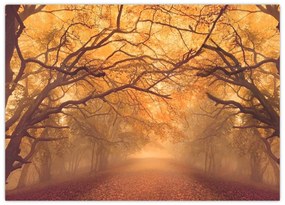 Obraz cesty v podzimní krajině (70x50 cm)