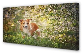 Obrazy na plátně Psí lesní květiny 125x50 cm