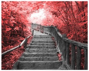 Gario Obraz na plátně Schody v červeném lese Rozměry: 40 x 60 cm