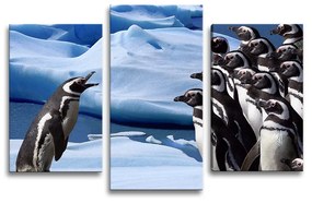 Sablio Obraz - 3-dílný Tučňáci - 75x50 cm