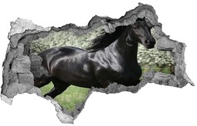 Wallmuralia Díra 3D fototapeta na stěnu Černý kůň květiny 95x73 cm