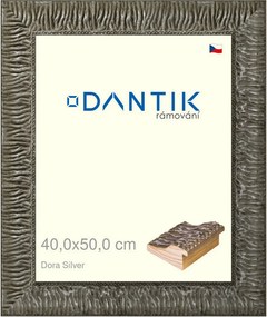 DANTIK rámeček 40x50 | Dora Silver (Plexi Čiré)