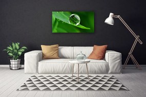 Obraz na plátně List Voda Kapka Rostlina 125x50 cm