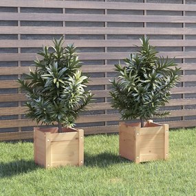 vidaXL Zahradní truhlíky 2 ks 31 x 31 x 31 cm masivní borovice [810523] Barva: medová hnědá