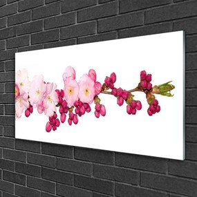 Obraz na skle Květ Větev 140x70 cm