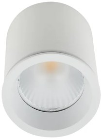 MAXlight TUB C0155