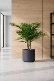 Umělá palma v květináči AREKA, plast, výška 90 cm, zelená