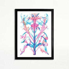 Filip Šenkeřík | Hybrid I – Liliantaurea Centaureum Rám: Bílý, Velikost: 30 x 20 cm
