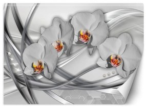 Fototapeta, Abstraktní orchideje - 350x245 cm