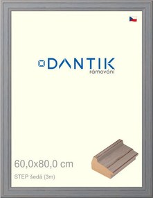 DANTIK rámeček 60x80 | STEP šedá (Plexi Čiré)
