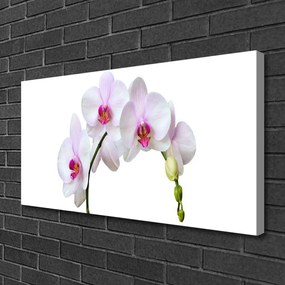 Obraz na plátně Vstavač Orchidej Květiny 100x50 cm