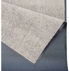 Hanse Home Collection koberce Rohožka Wash & Clean 102042 Taupe Rozměry koberců: 40x60