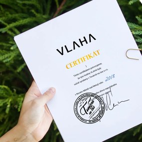 VLAHA Dubové české hodiny vyrobené v Čechách se zlatými ručkami ⌀32,5cm VCT1013