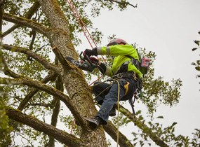 Aku řetězová pila CRAMER 82TCS15
