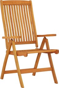 vidaXL Skládací zahradní židle 2 ks masivní eukalyptové dřevo [316069]