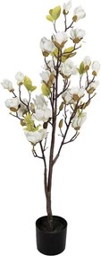 Dekorační stromek Magnolia s bílými květy - 20*15*120 cm