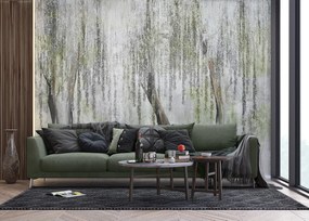 Fototapeta Šedé Oděrky | Vliesová fototapeta na zed' | 375 x 270 cm | DFT5P352231