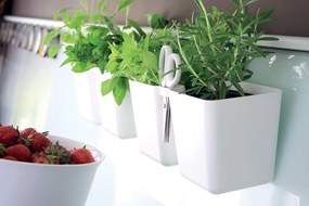 Květináč Twins Herbs bílý