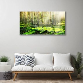 akrylový obraz Mech Les Příroda 100x50 cm
