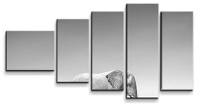 Sablio Obraz - 5-dílný Slon a zebra - 100x60 cm