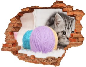 Wallmuralia Díra 3D fototapeta nálepka Kočka 90x70 cm