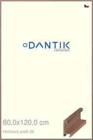 DANTIK rámeček 80x120 | ALU profil 6035 Dýha ořech (Plexi Čiré)