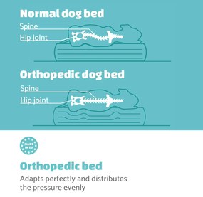 Paco, pelíšek pro psa, psí podložka, pratelný, ortopedický, protiskluzový, prodyšný, sklopné, paměťová pěna, velikost M (80 x 8 x 55 cm)