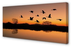 Obrazy na plátně Létající ptáky sunset 140x70 cm