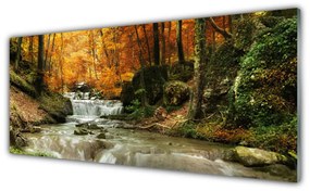 Plexisklo-obraz Vodopád Les Příroda 125x50 cm