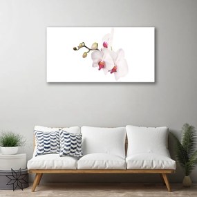 Plexisklo-obraz Květiny Příroda Orchidej 100x50 cm