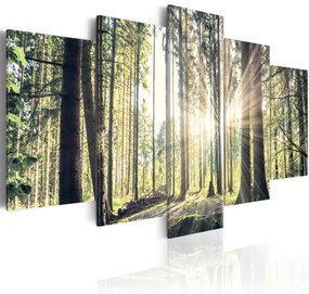 Atypický obraz lesní svět II + háčky a hřebíčky ZDARMA Velikost (šířka x výška): 200x100 cm