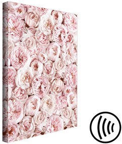 Obraz Růžový koberec - květy viděné shora ve světle růžové barvě