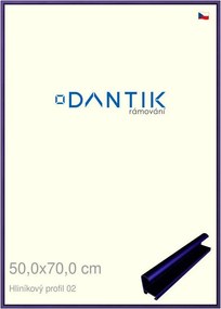DANTIK rámeček 50x70 | ALU profil 7002 modrá Azur matná (Plexi Čiré)