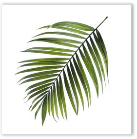 Obraz Styler Canvas Greenery Black Palm, 32 x 32 cm