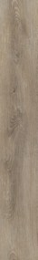Oneflor, Vinylová podlaha lepená ECO 30 071 Traditional Oak Natural Light - dub, 1219,2 x 185 mm