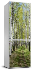 Wallmuralia Nálepka na ledničku samolepící Břízový les 60x180 cm