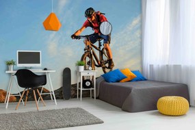 Malvis ® Tapeta Cyklista Vel. (šířka x výška): 360 x 260 cm