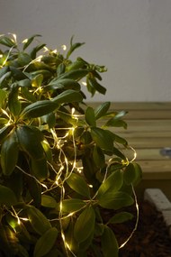 STAR TRADING Světelný řetěz - Light Thread - 23 m, čirá barva, plast