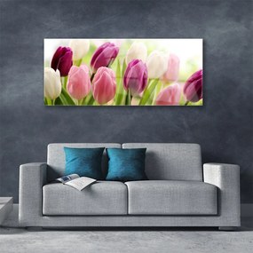 Plexisklo-obraz Tulipány Květiny Příroda Louka 125x50 cm